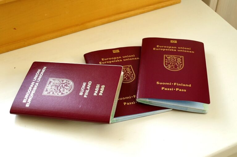 Digital Passport: Big Update ! This country has issued digital passport ...